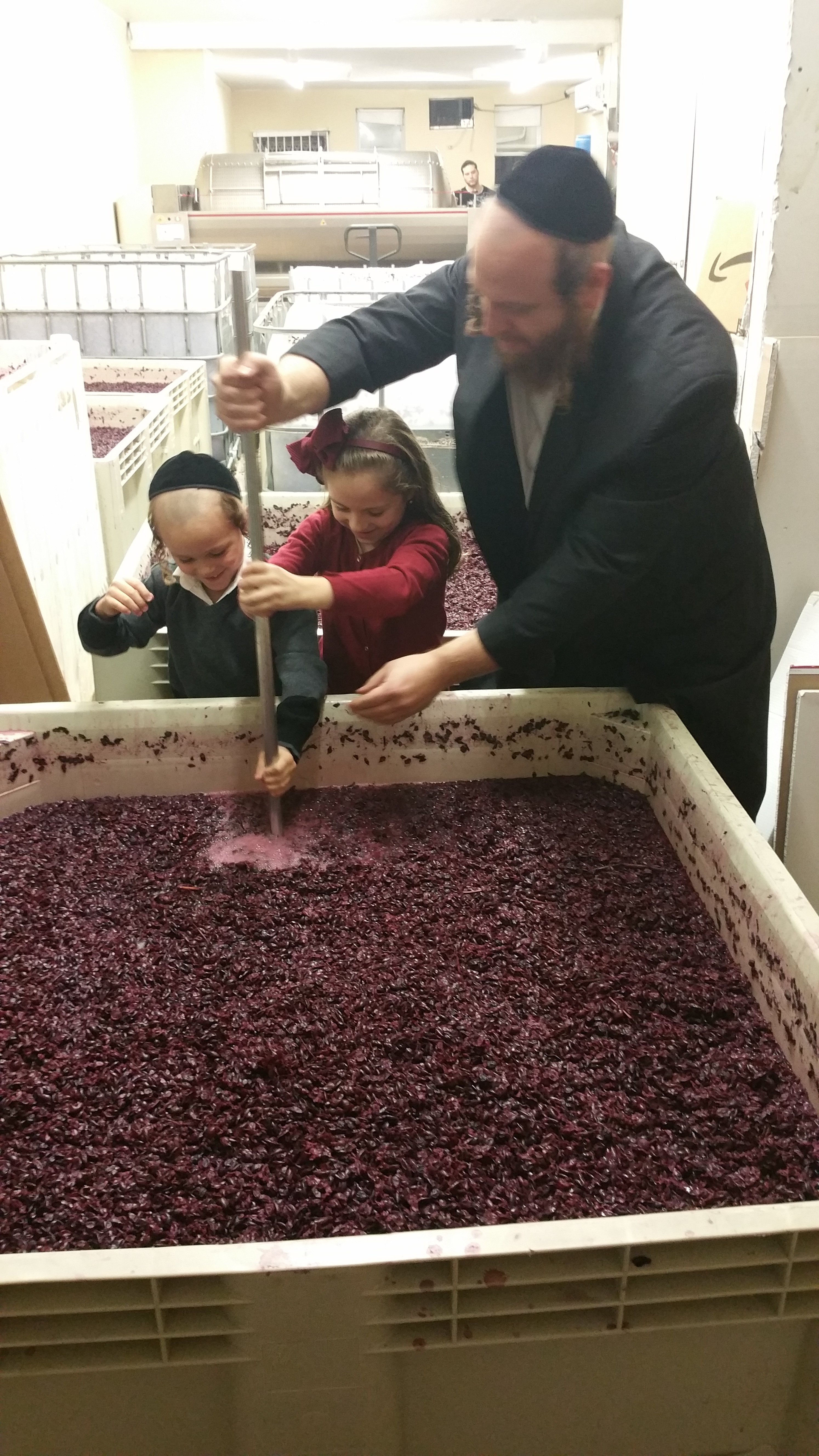 Learn Winemaking At BenIsh Winery With Hands On Experience From An ...