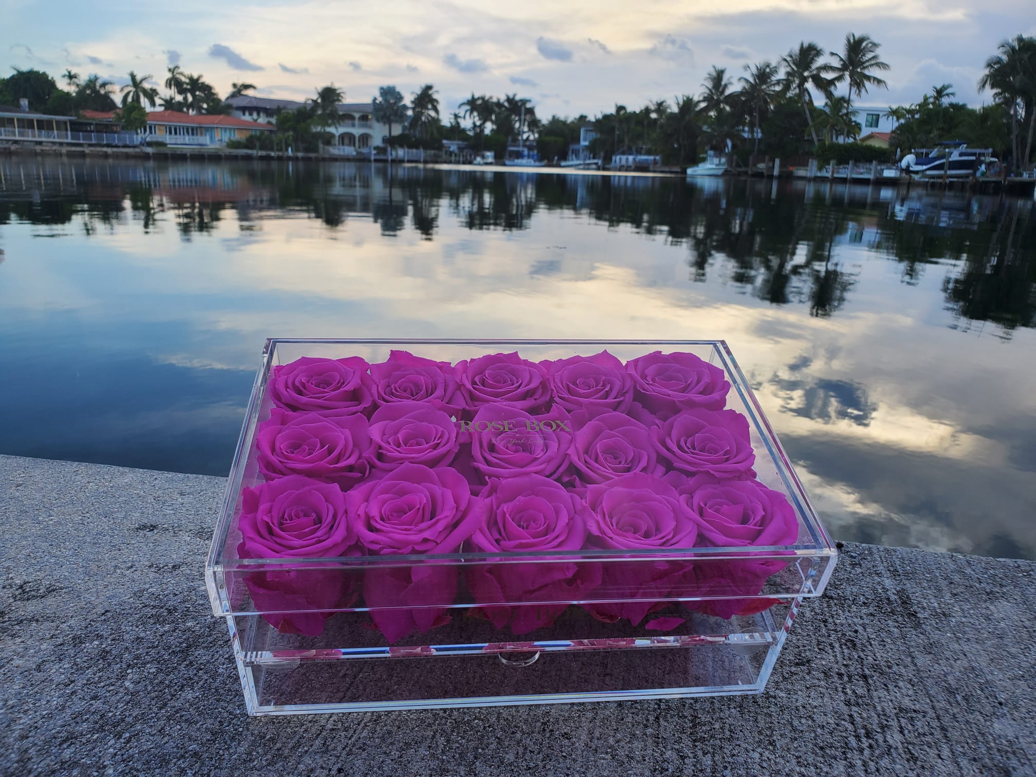 Today Only: Save An Additional 20% On Roses That Stay Fresh All Year ...