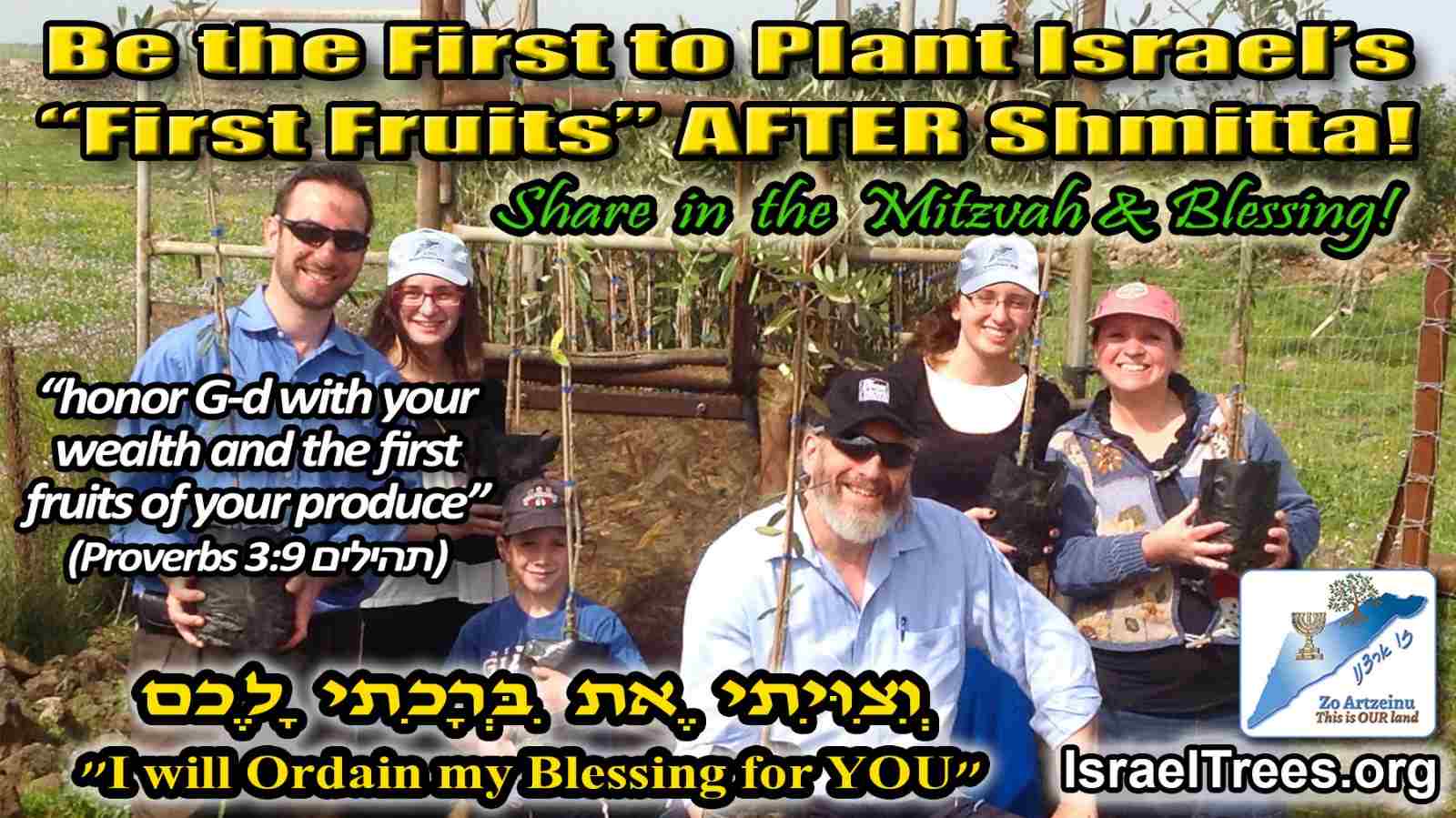 Only A Few Days Left Until The End Of Shmitta! Plant Your Tree Now And ...