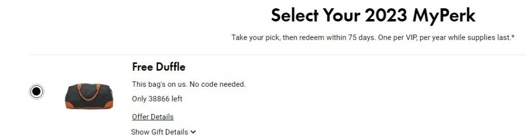 Existing DSW VIP Members: Claim A Free Duffle Bag With Free Shipping Or ...