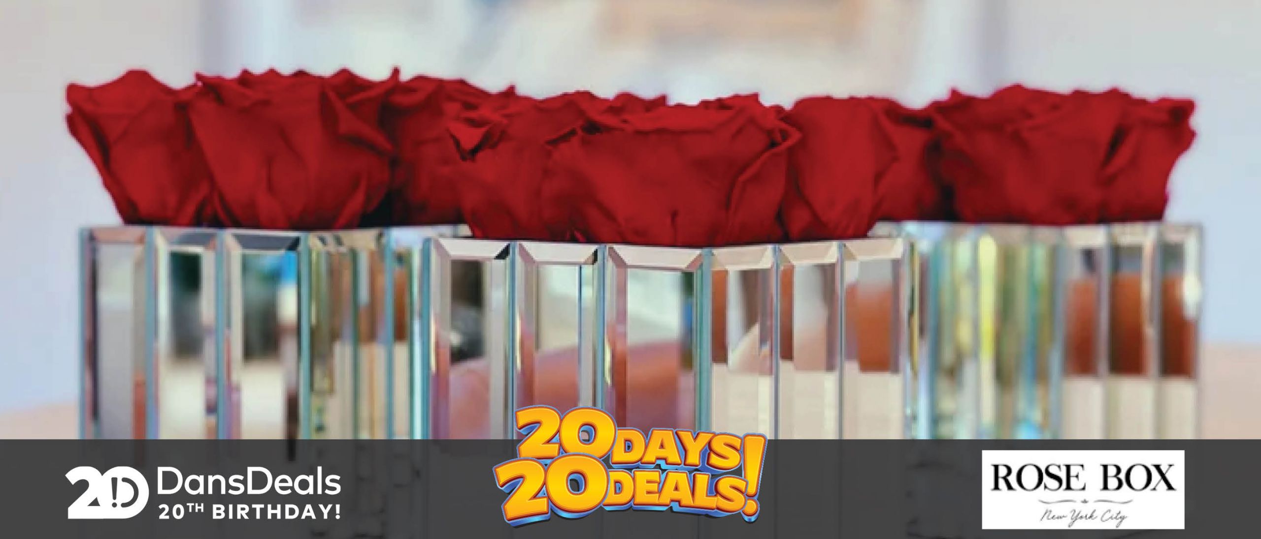 Deal Day 7: Get The Lowest Price Ever On Roses That Stay Fresh All Year ...