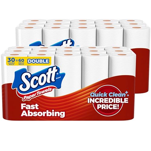 Now Cheaper Than Black Friday! 30 Double (60 Regular) Rolls Of Scott ...
